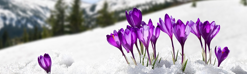 Academic Calendar - University of Maine at Augusta