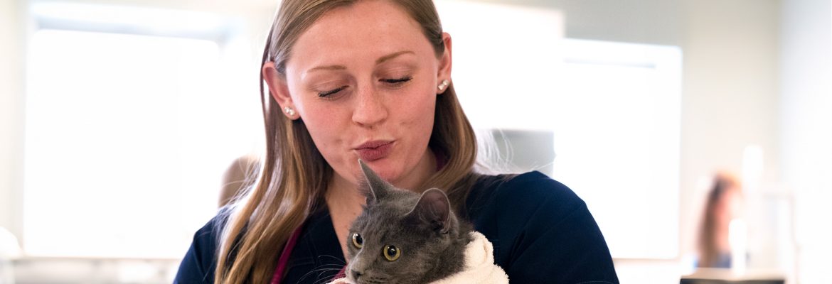 Veterinary Technology - University of Maine at Augusta