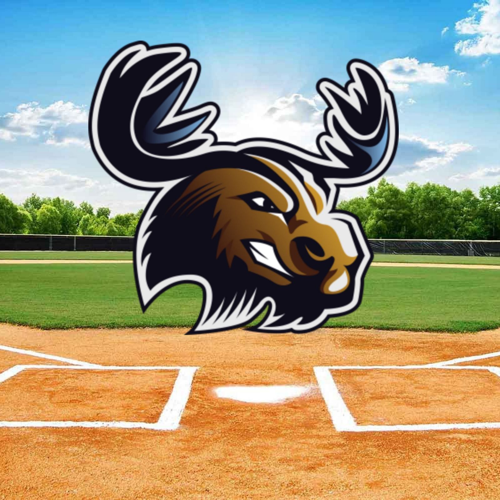 Historic Wins for UMA Moose Baseball and Softball Teams in Inaugural ...