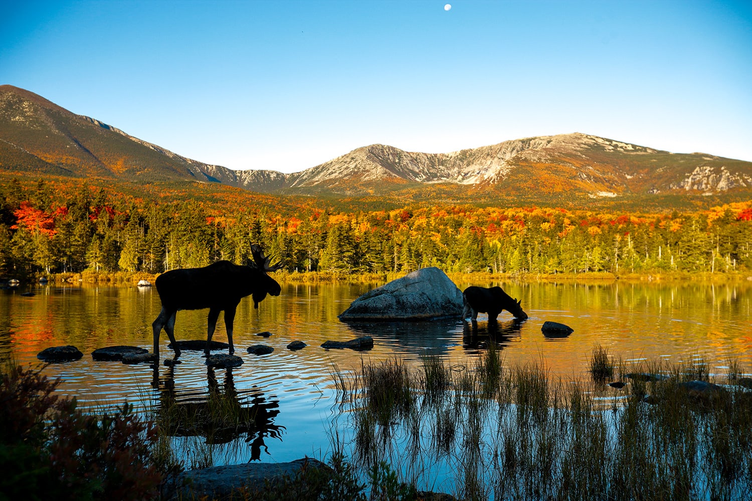 UMA East Millinocket Center - Locations